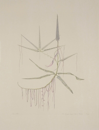 David Thorpe Limited Edition